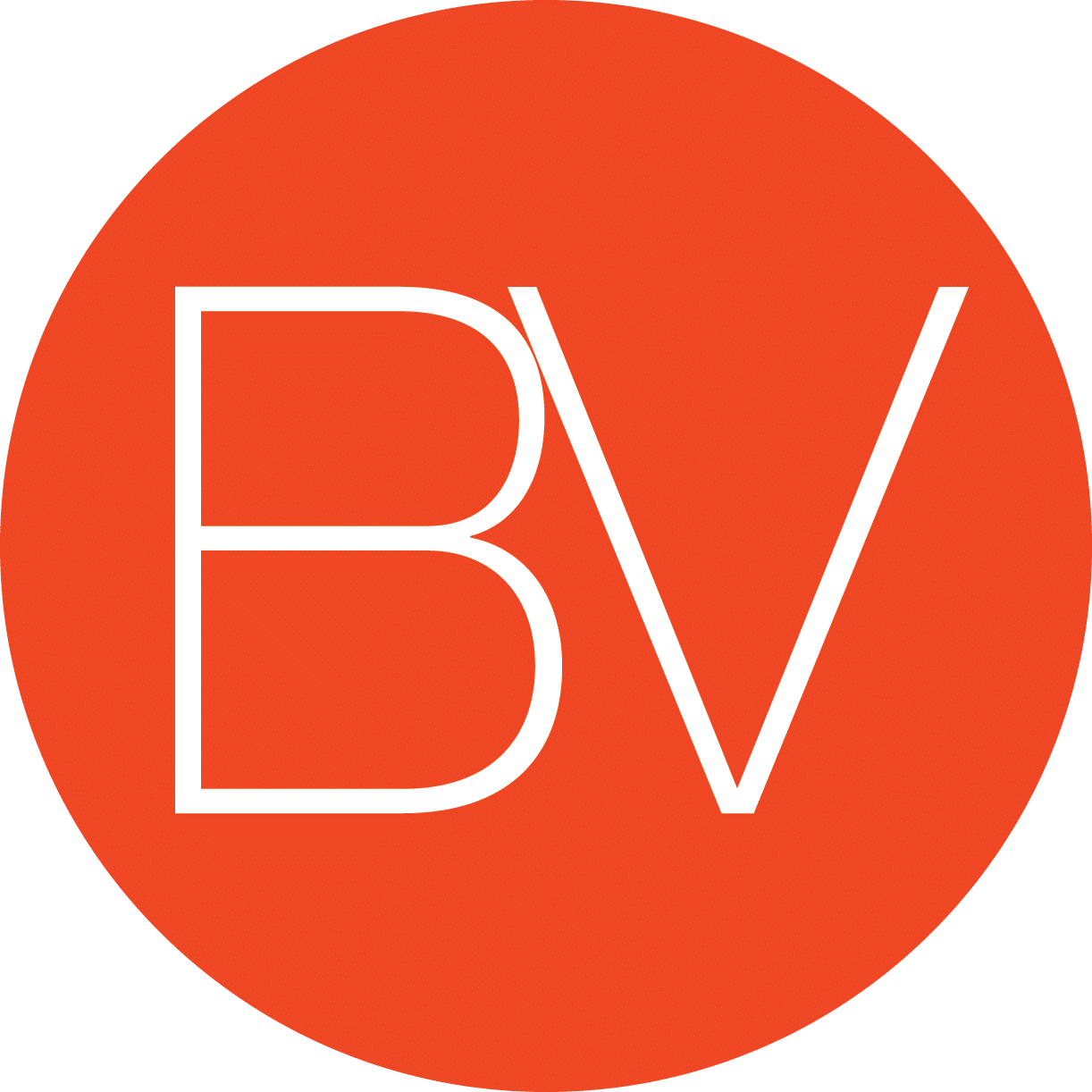 BV | Plug-In Marketing Department for Growing Brands